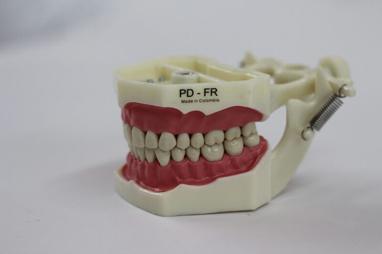 Tips para elegir un tipodonto - Cipractident